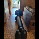 Fatboy Attackle Bench & Reviews | AllModern